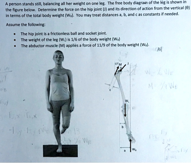 A person stands still, balancing all her weight on one leg. The free ...