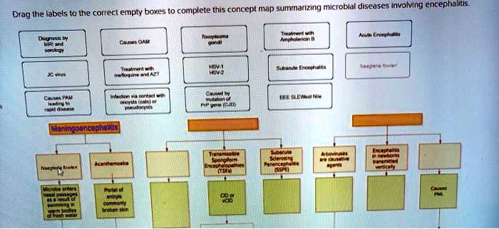 drag ihie labels t0 the correct emply boxes t0 complete ihis concept ...