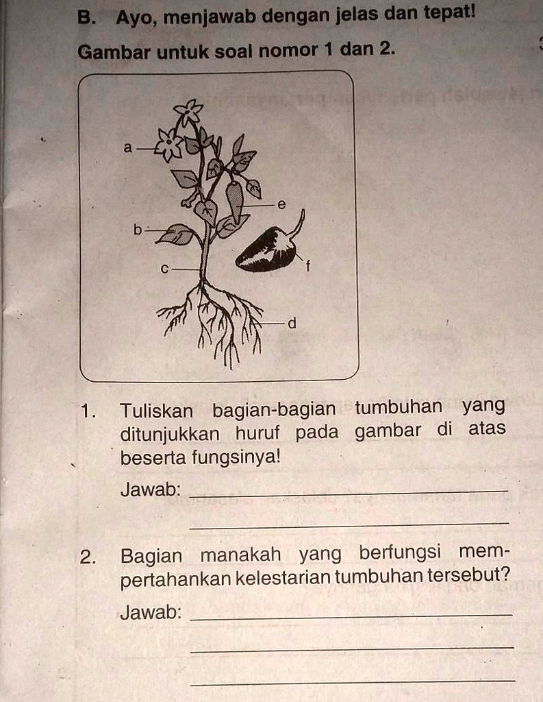 SOLVED: bantuin ...jangan ngasal ... ! B. Ayo, menjawab dengan jelas ... SOLVED: bantuin ...jangan ngasal ... ! B. Ayo, menjawab dengan jelas ...