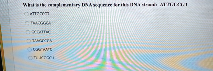 SOLVED: What is the complementary DNA sequence for this DNA strand ...