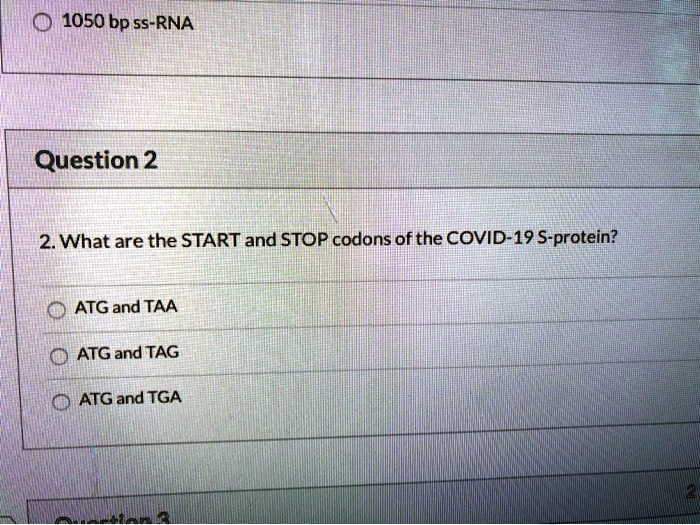 SOLVED: 1050 bp ss-RNA Question 2 2. What are the START and STOP codons ...