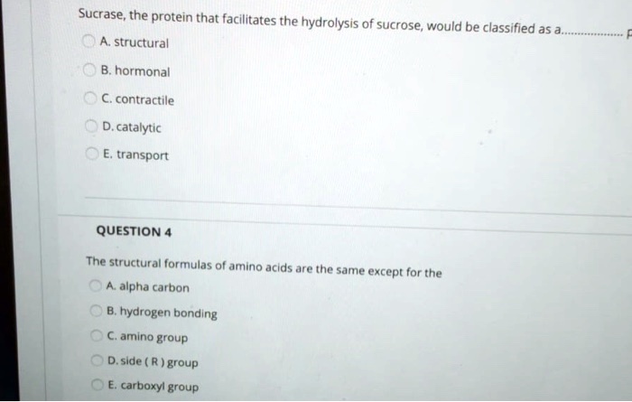 SOLVED: Sucrase, the protein that" facilitates the hydrolysis of ...