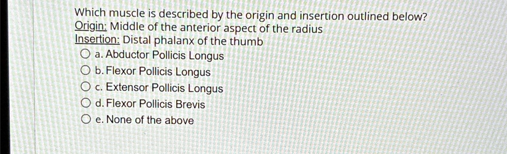 which muscle is described by the origin and insertion outlined below ...
