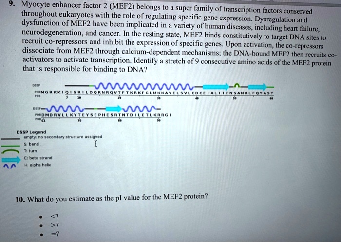 SOLVED: Myocyte enhancer factor 2 (MEF2) belongs to super family of transcription factors ...