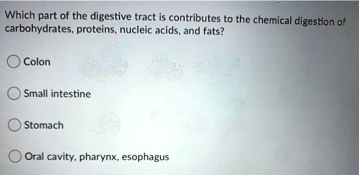 SOLVED: Which part of the digestive tract is contributes to the ...