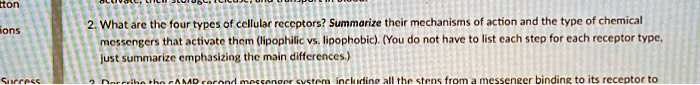 SOLVED: 1. The first text "ton" appears to be a typographical error and ...