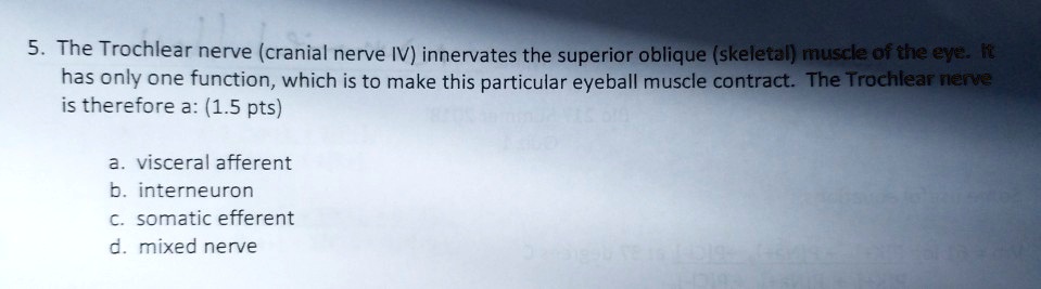 SOLVED: The Trochlear nerve (cranial nerve IV) innervates the superior ... SOLVED: The Trochlear nerve (cranial nerve IV) innervates the superior ...