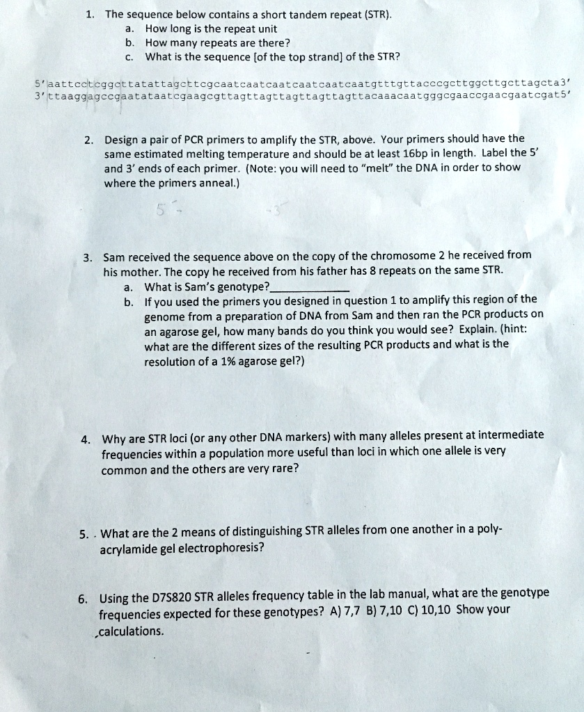 SOLVED: The sequence below contains short tandem repeat (STR): How long is the repeat unit? How ...