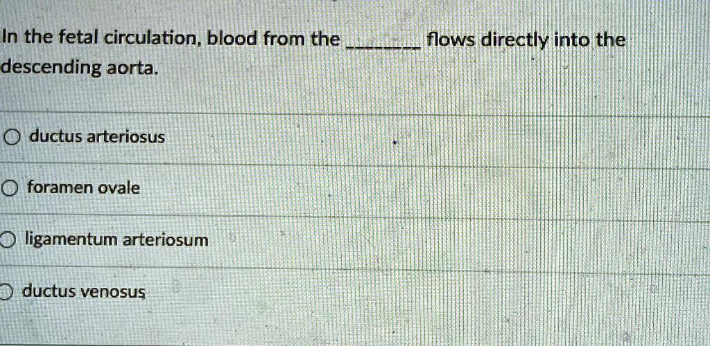 In the fetal circulation, blood from the q, flows directly into the ...