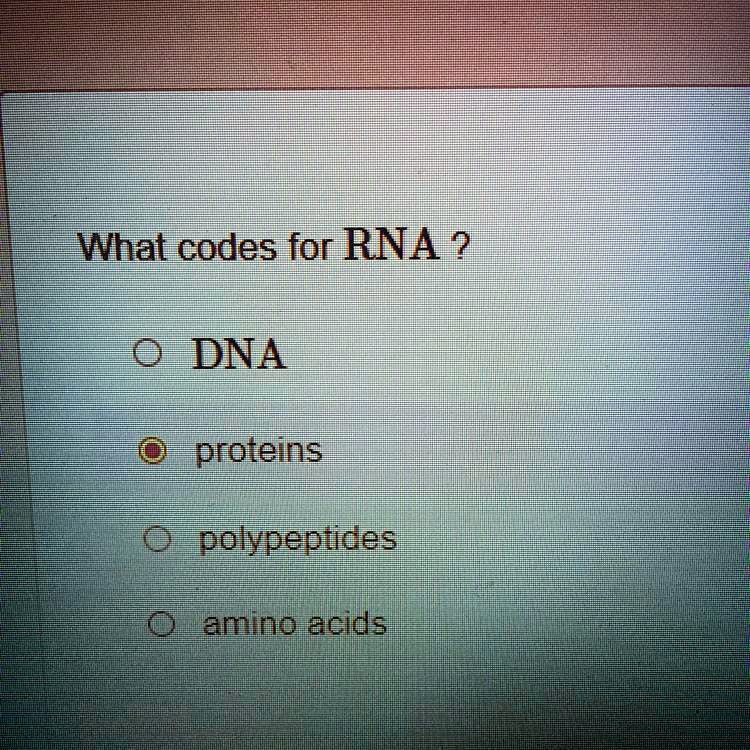 SOLVED: 'What codes for RNA plz help What codes for RNA ? DNA proteins ...