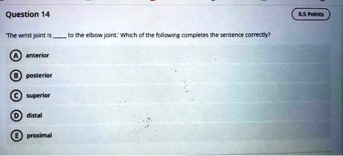 SOLVED: Question 14 05 Folng The wnist joint t0 the elbow joint:' Which 0f the following ...
