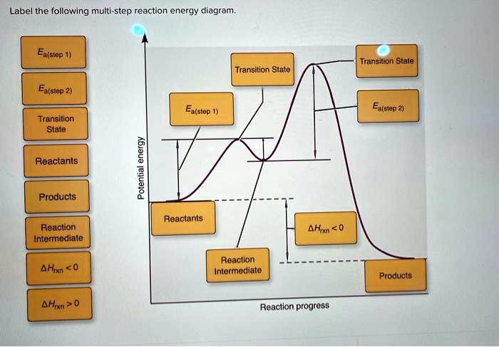 Label the following multi-step reaction energy diagram. Ea (step 1 ...