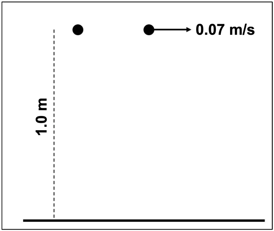 One object is dropped from a height h = 1.0 m (initial velocity is zero). Simultaneously a ...