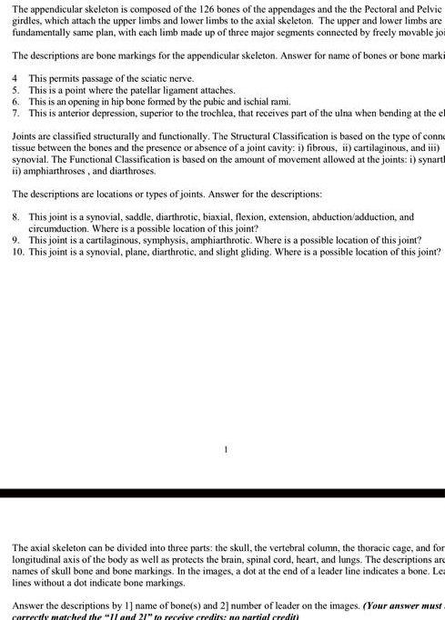 SOLVED: The appendicular skeleton is composed of the 126 bones of the ...