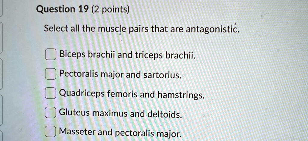 Question 19 (2 points) Select all the muscle pairs that are ...