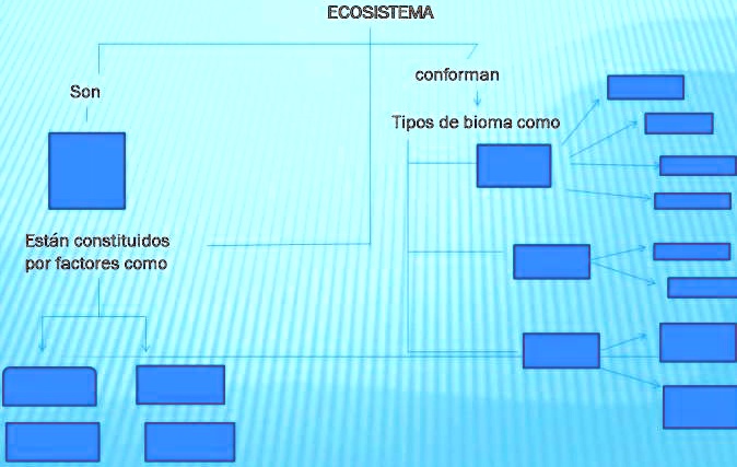 SOLVED: me podrian ayudar a completar este mapa conceptual plis doy ...