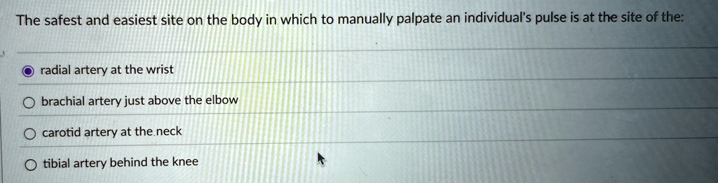 the safest and easiest site on the body in which to manually palpate an ...