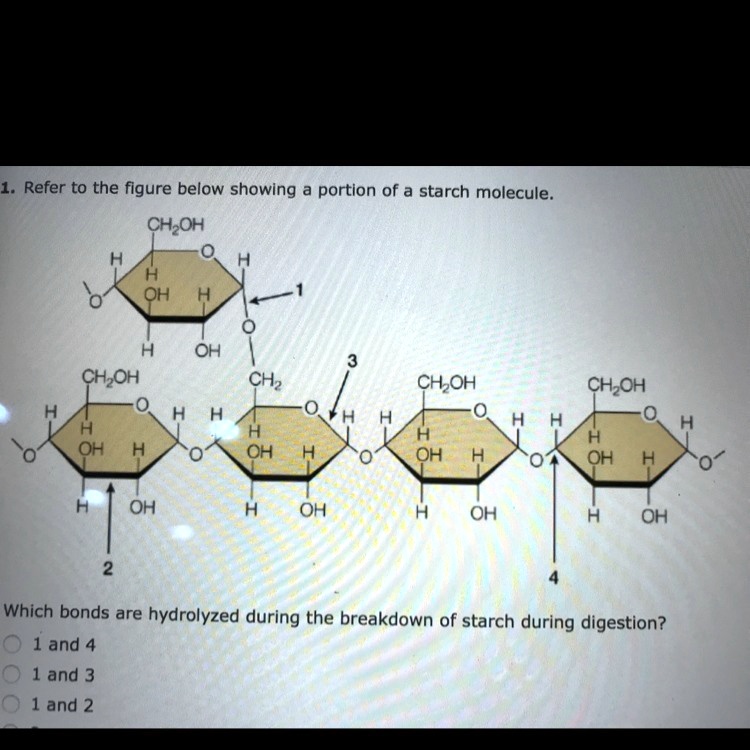 1. Refer to the figure below showing a portion of a starch molecule ...