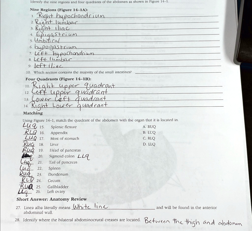 [GET ANSWER] Identify the nine regions and four quadrants of the ...