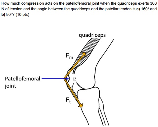 SOLVED: How much compression acts on the patellofemoral joint when the ...