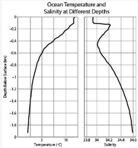 Ocean Temperature and Salinity at Different Depths Depth Below Surface ...