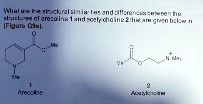 SOLVED: What are the structural similarities and differences between ...