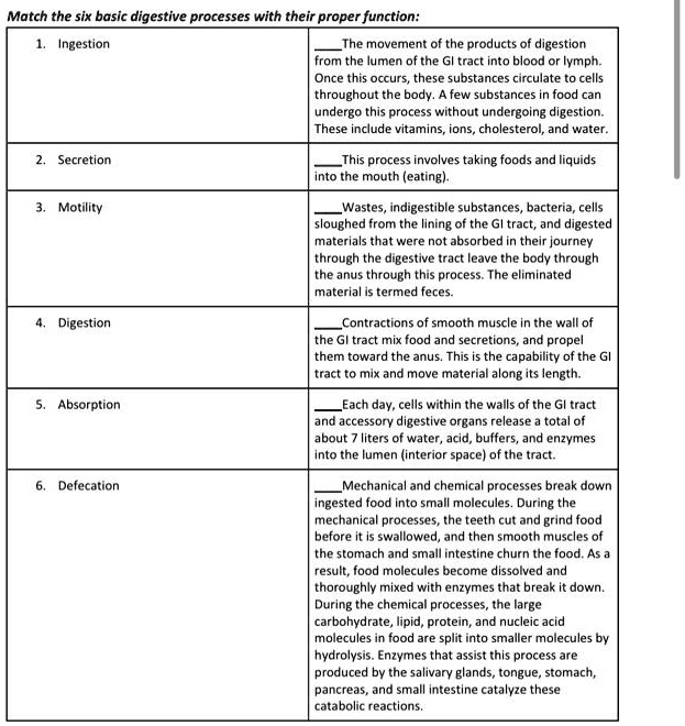 match the six basic digestive processes with their proper function 1 ingestion the movement of ...