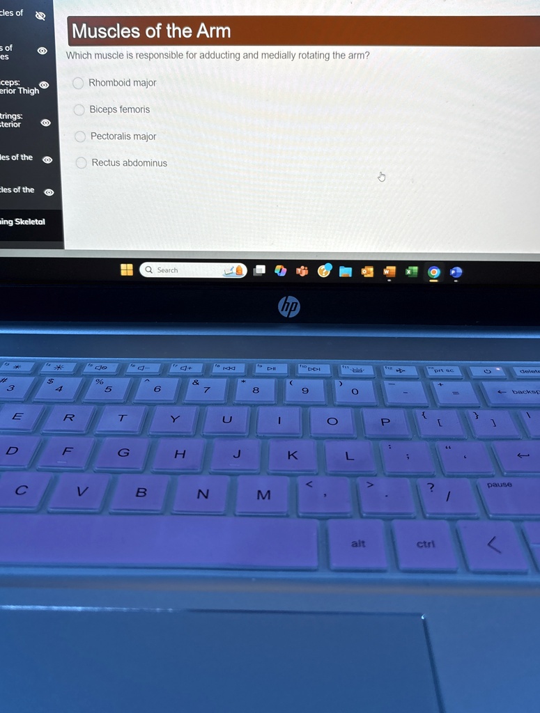 Muscles of the Arm Which muscle is responsible for adducting and ...