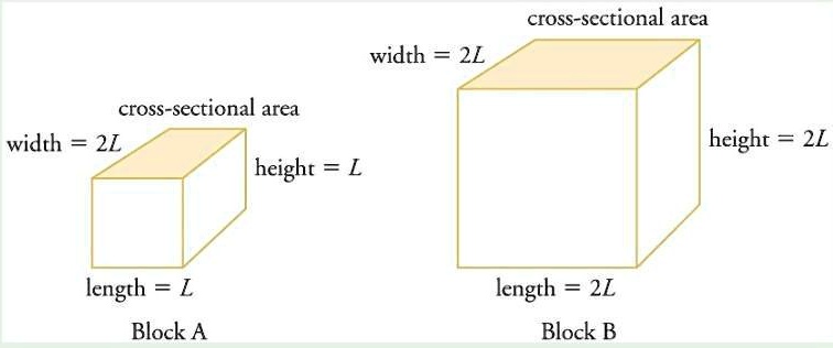 SOLVED: 'Two metal blocks A B are made of the same material. The ...