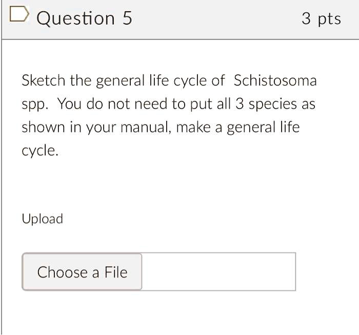 SOLVED: Question 5 3 pts Sketch the general life cycle of Schistosoma spp. You do not need to ...