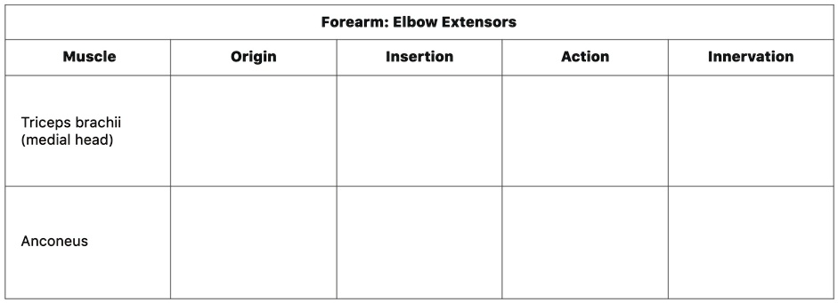 SOLVED: Forearm: Elbow Extensors Muscle Origin Insertion Action ...