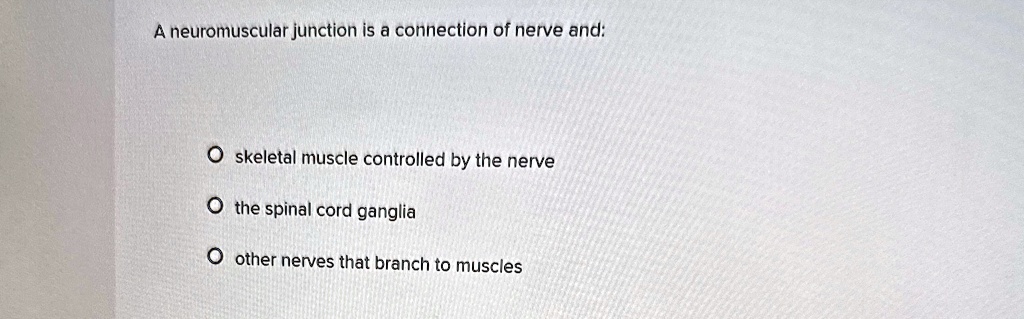 a neuromuscular junction is a connection of nerve and o skeletal muscle controlled by the nerve ...