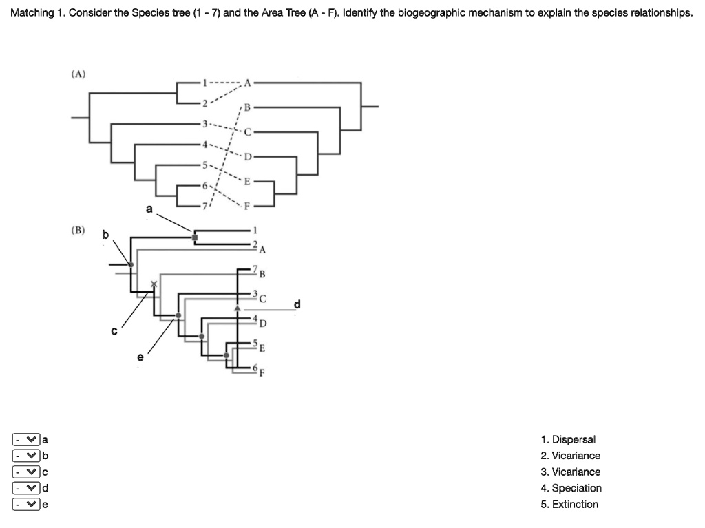 Matching 1: Consider the Species tree (1-7) and the Area Tree (A-F ...