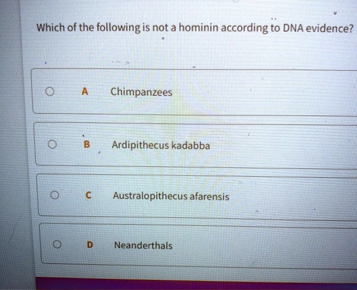 SOLVED: Which of the following is not a hominin according to DNA evidence? Chimpanzees ...