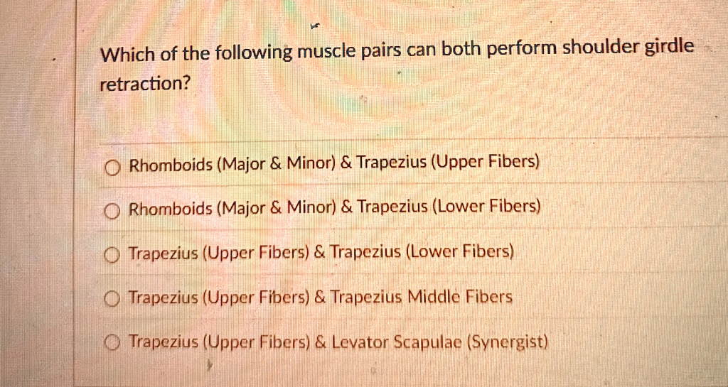 Which of the following muscle pairs can both perform shoulder girdle ...