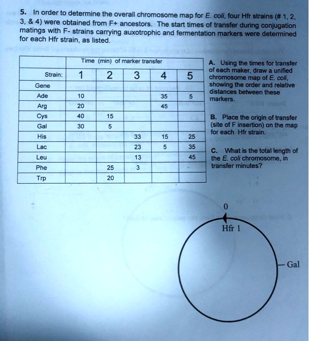 In order to determine the overall chromosome map for E. coli, four Hfr ...