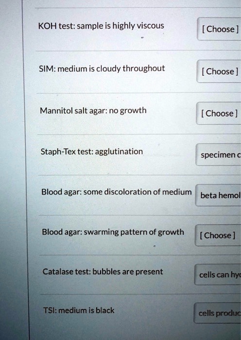 KOH test: sample is highly viscous [Choose] SIM: medium is cloudy ...