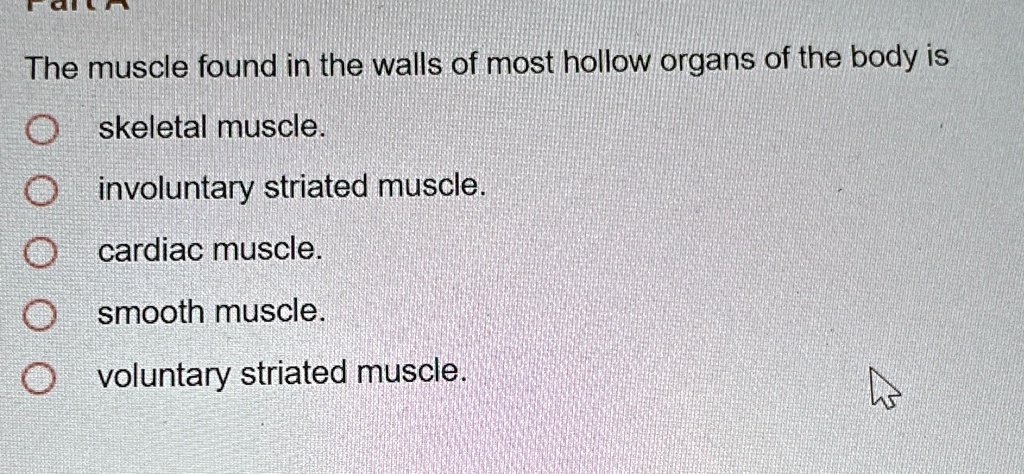 The muscle found in the walls of most hollow organs of the body is ...