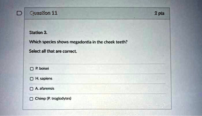 SOLVED: Question 11 Please select all species that show megadontia in ...
