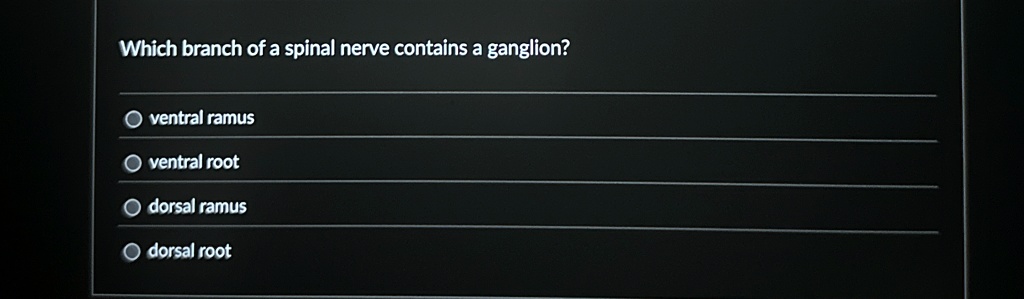 Which branch of a spinal nerve contains a ganglion? ventral ramus ...