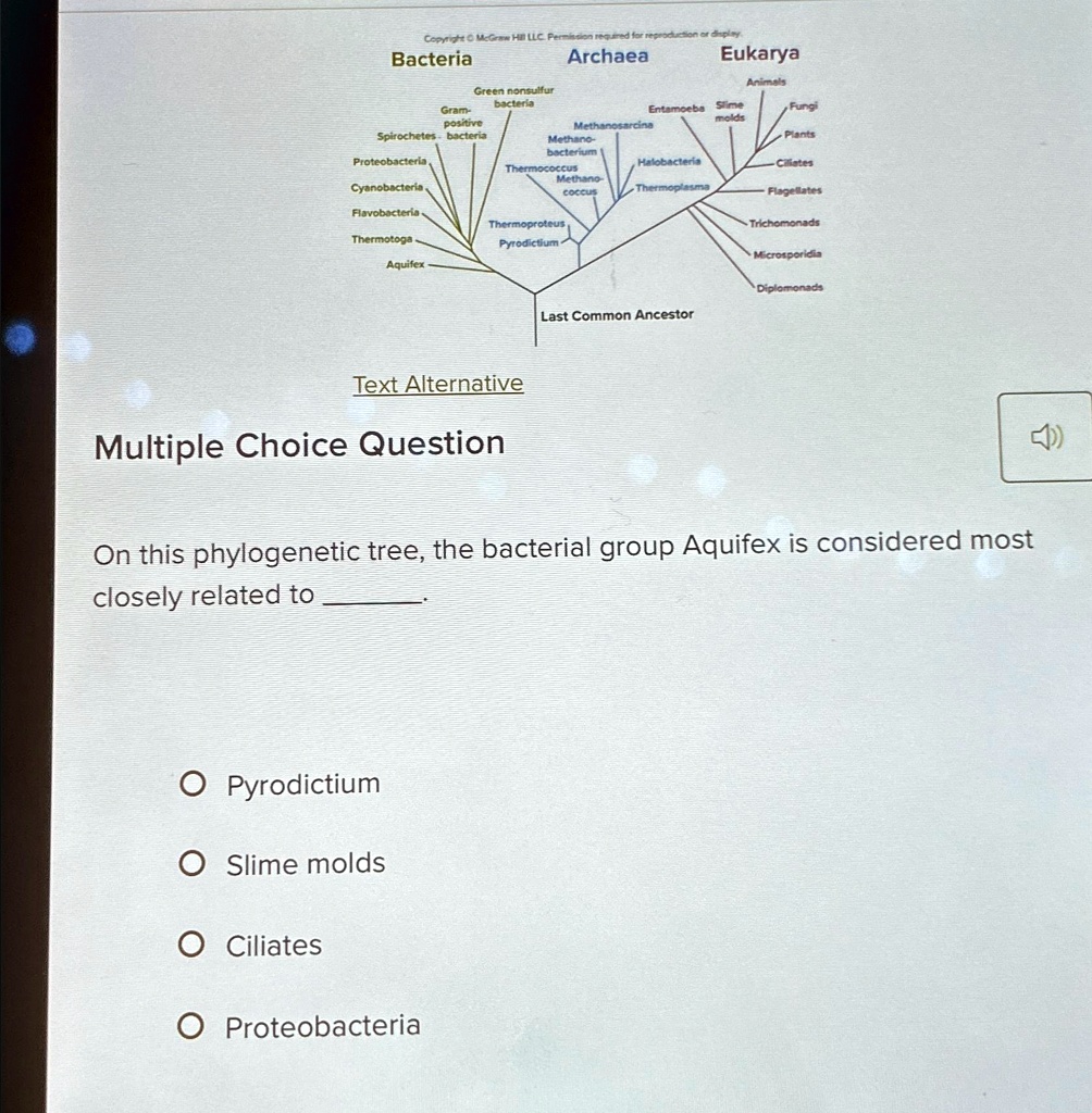 O Bacteria O Archaea O Eukarya O Green non-bacteria O Gram-positive O ...