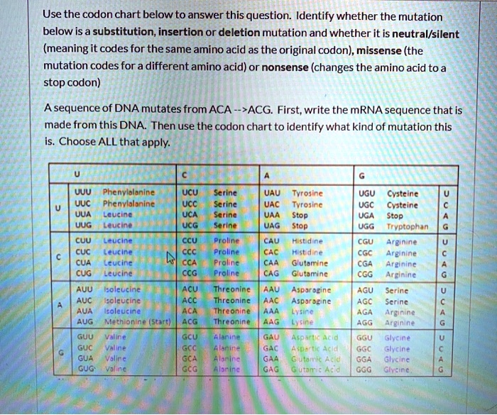 SOLVED: Use the codon chart below to answer this question: Identify whether the mutation below ...