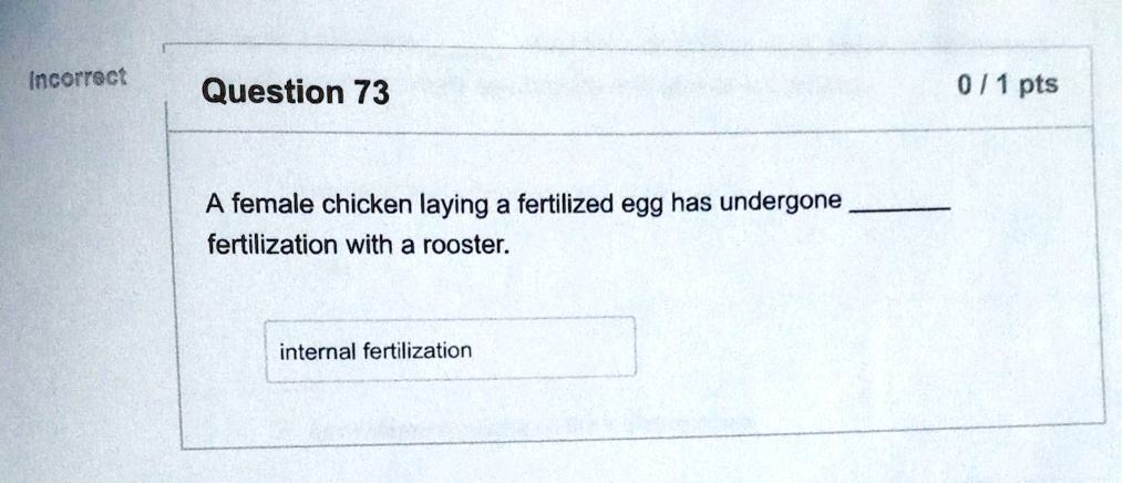 SOLVED: Incorrect Question 73 0 /1 pts female chicken laying a ...