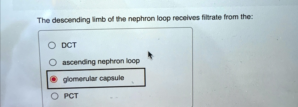 The descending limb of the nephron loop receives filtrate from the: DCT ...