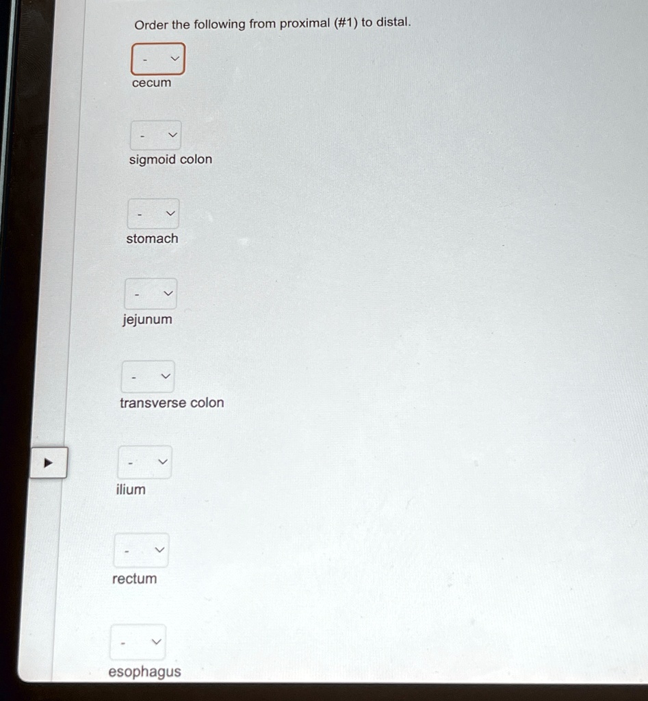 order the following from proximal 1 to distal cecum sigmoid colon ...