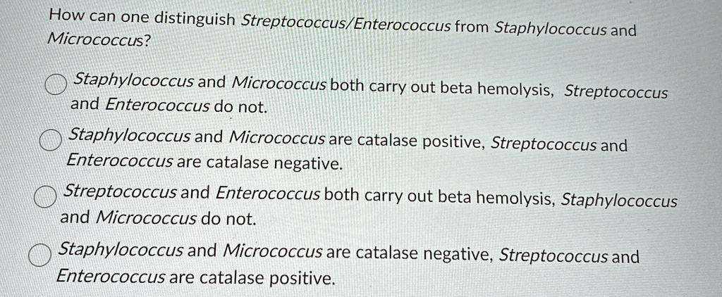 How can one distinguish Streptococcus/Enterococcus from Staphylococcus ...