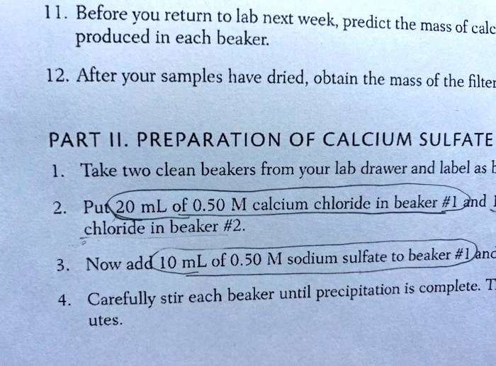 SOLVED: 11. Before You return to lab next week; predict the produced in each beaker: mass of ...