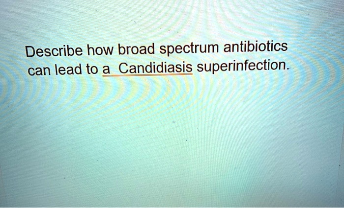SOLVED: Describe how broad spectrum antibiotics can lead to a Candidiasis superinfection.
