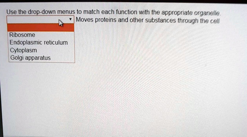 Use the drop-down menus to match each function with the appropriate ...