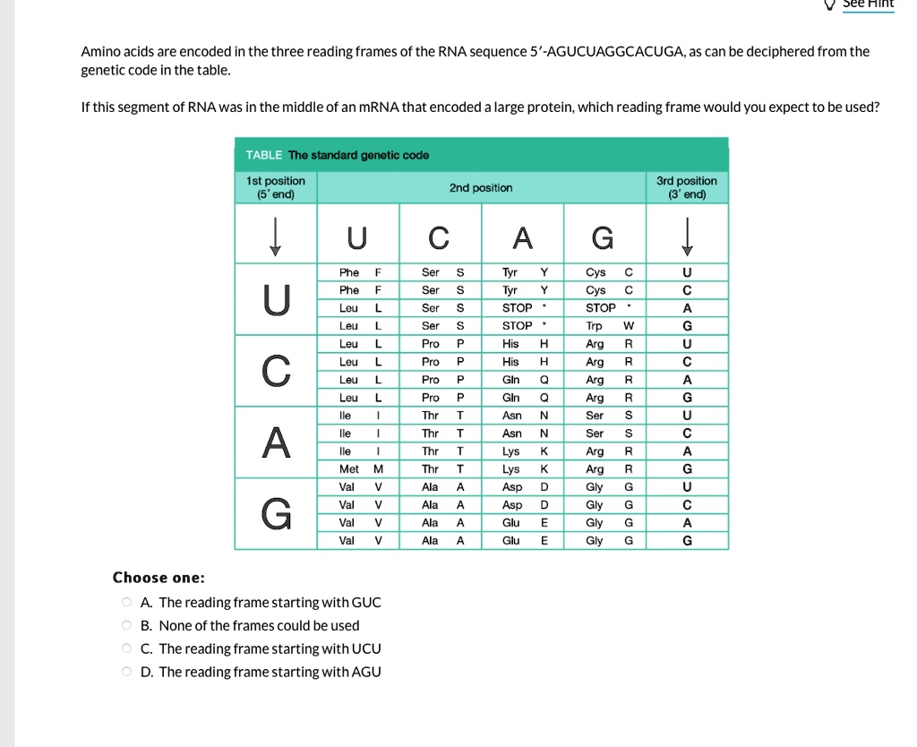 SOLVED: Texts: V See Hint Amino acids are encoded in the three reading ...